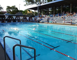 Year 1 - 6 Term 1 HPE swimming
